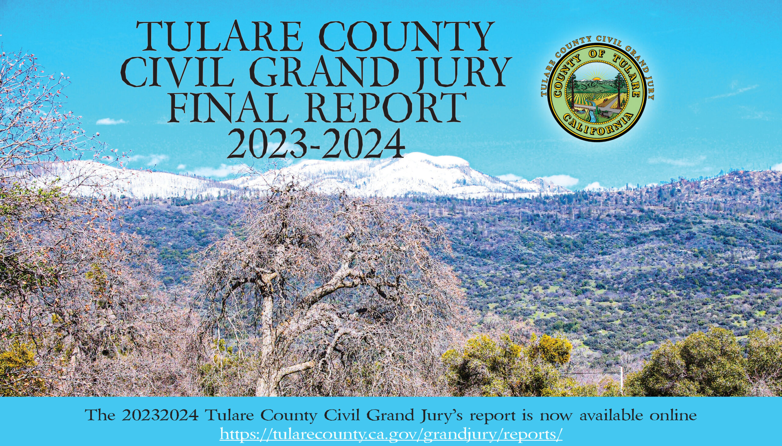Valley Voice - In-depth, locally-produced coverage of the Central Valley.